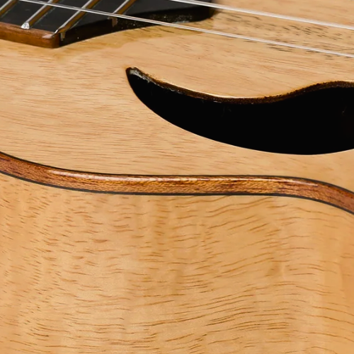 Snail DT-06A - All Solid Mahogany, Matt Finish, Tenor Ukulele – Snail ...